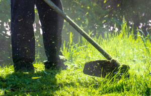 Grass Slashing Services St Albans | Western Lawn Mowing